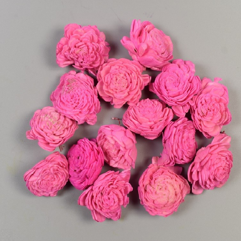 Capete flori colorate - ARTFLORA - Plante uscate colorate