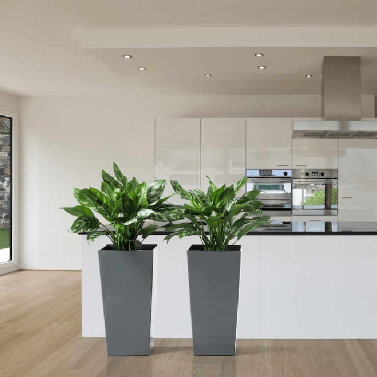 Ghiveci Basic High antracit glossy 30x30x57 - ARTFLORA