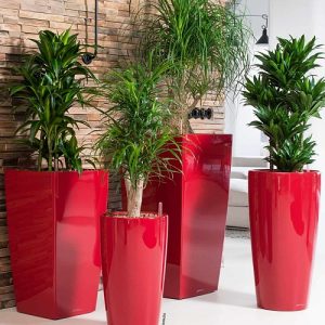 Ghivece si Jardiniere - ARTFLORA