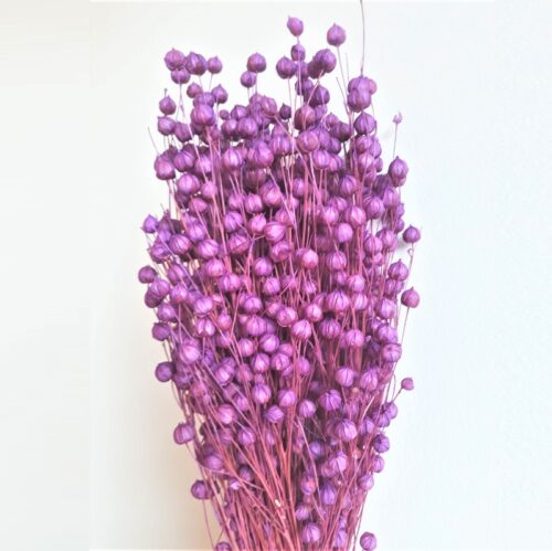 Planta de In violet 50cm - ARTFLORA | Plante & flori uscate