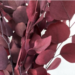 Plante stabilizate - ARTFLORA