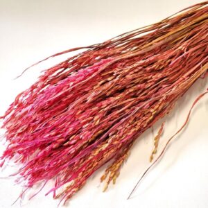 Planta de Orez roz pastel 70cm - ARTFLORA | Plante & flori uscate