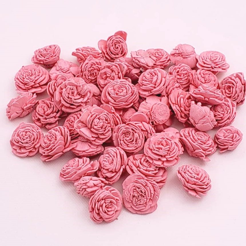 Capete flori colorate - ARTFLORA - Plante uscate colorate