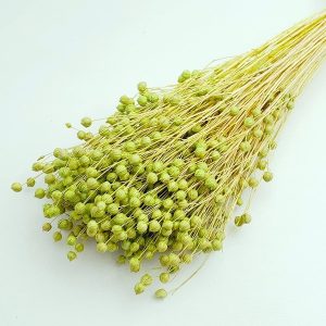 Planta de In verde pal 50cm - ARTFLORA | Plante & flori uscate