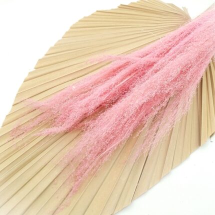 Plante uscate | Iarba uscata Texas Roz pal set 50cm - ARTFLORA